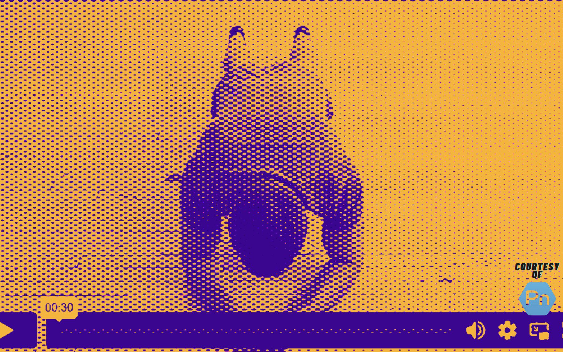 How to Perform Side Plank w/ Rows: Forge an Unbreakable Core & Back ...