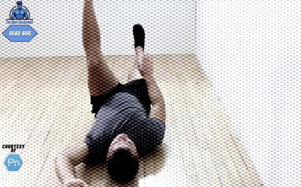 Dead Bug Legs Only: Core Strength & Stability Guide