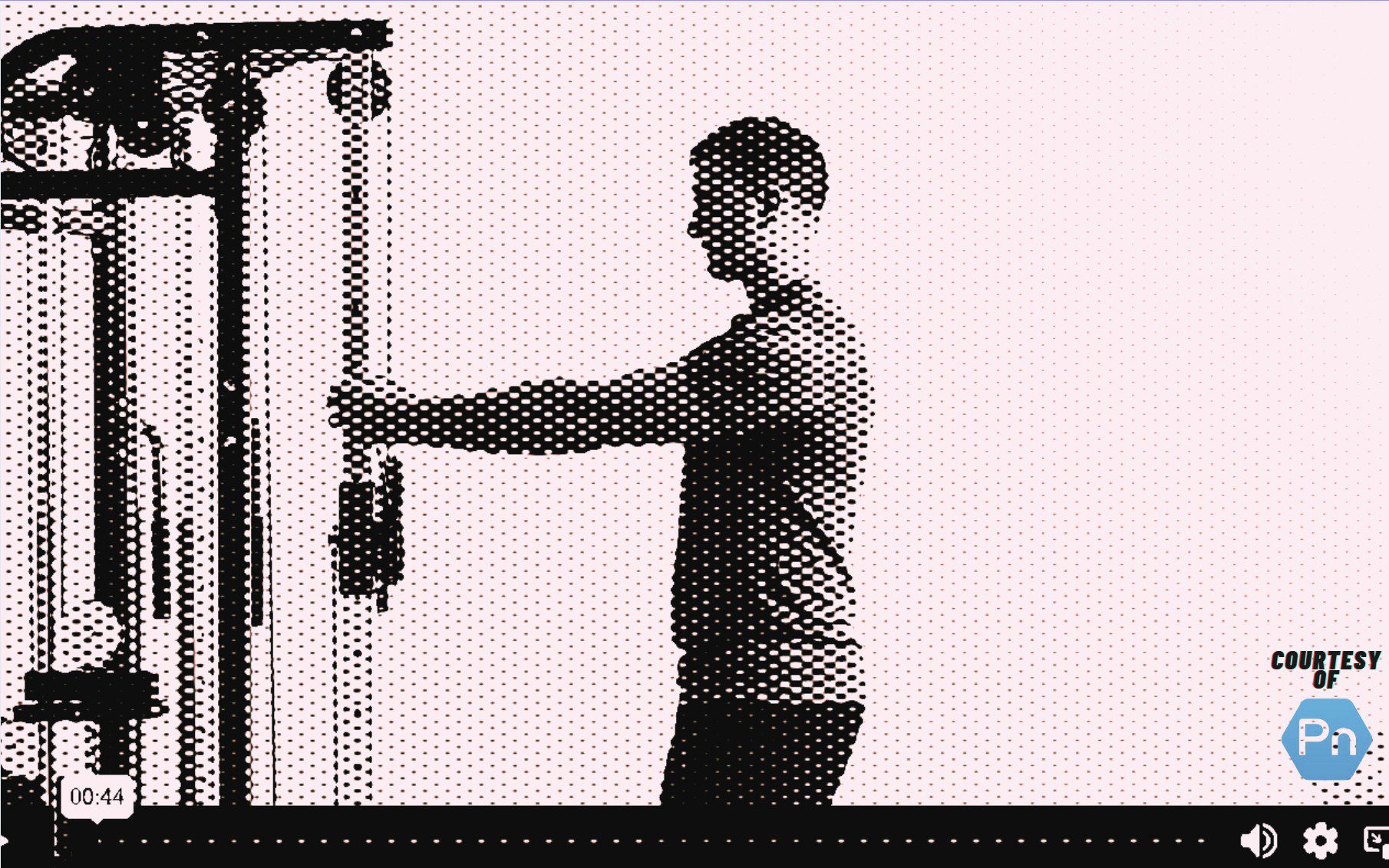Pallof Press Guide: The King of Core Stability