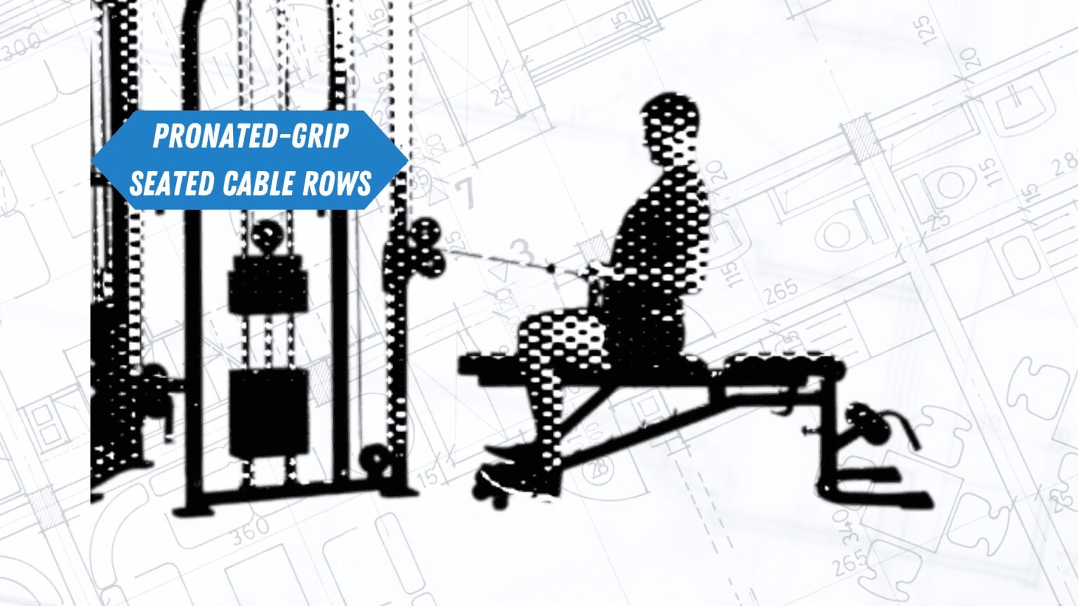 Half-Kneeling Cable Row Guide: Fix Your Posture