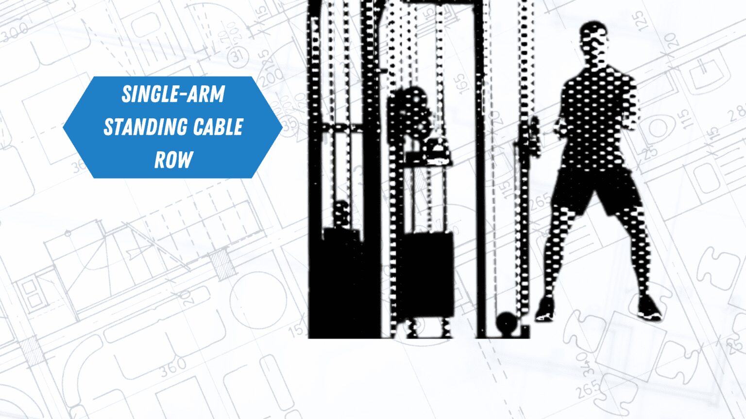 Single-Arm Cable Rows: Standing Split-Stance Mechanics