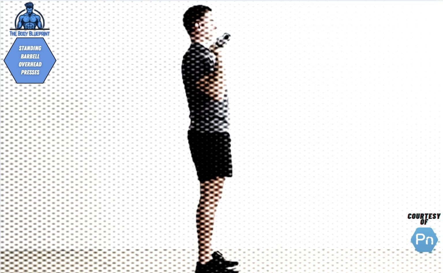 Seated DB Overhead Press Guide: Build Massive Delts