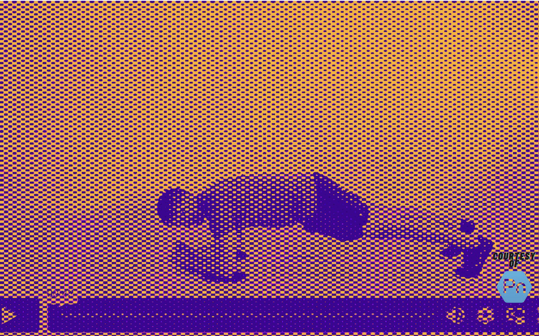 How to Perform Side Plank w/ Rows: Forge an Unbreakable Core & Back ...